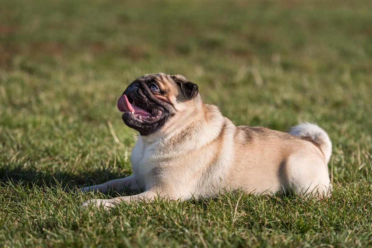 Archie Bailey Gallery - Lifes QR